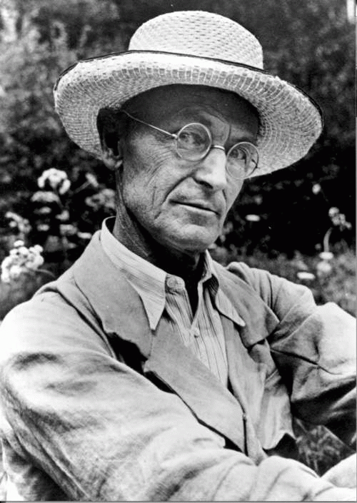 Hermann Hesse – Tim Miller